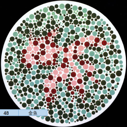 色弱测试图-李春慧新编